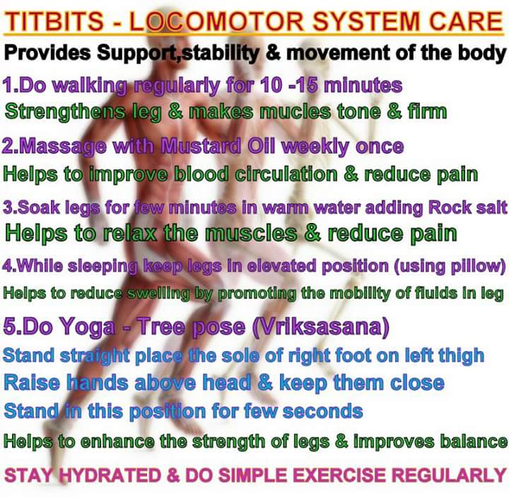Locomotor system care by Dr. Mitthra - HDS