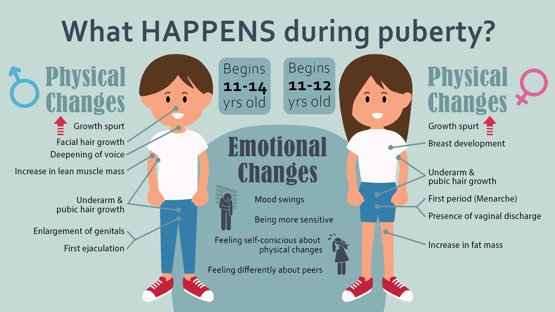 Puberty and Homoeopathic Approach | HDS